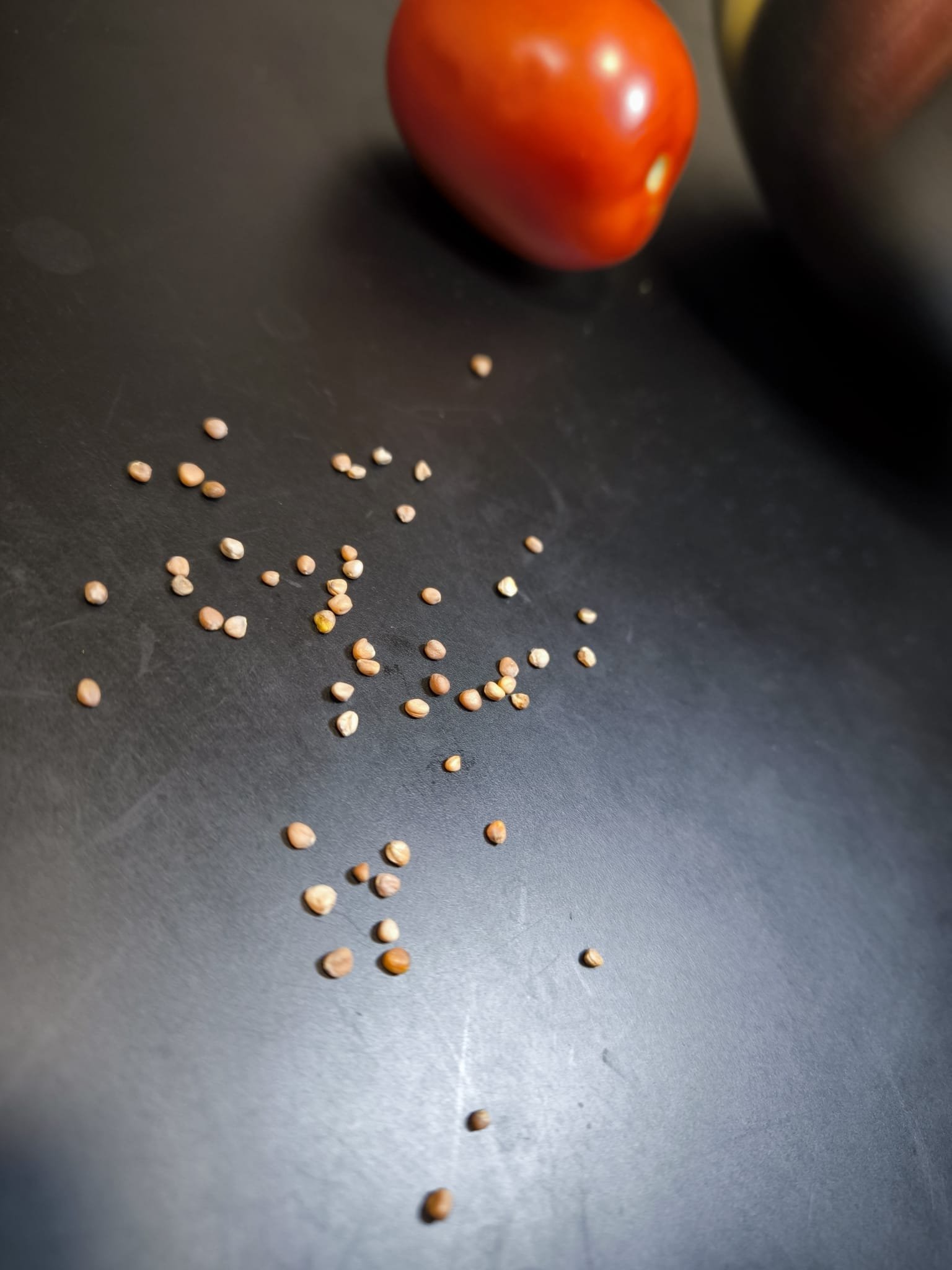 Plantar Rabanitos En Casa 🌿 Guía Completa Para Un Huerto Urbano Exitoso