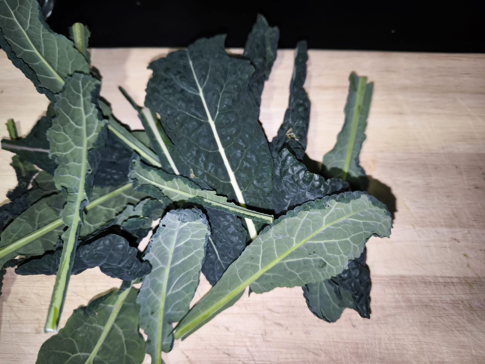 Cultivar Kale En Casa ֍ APRENDE TODO >>